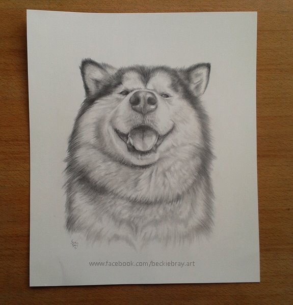 Graphite Examples – Beckie Bray Art